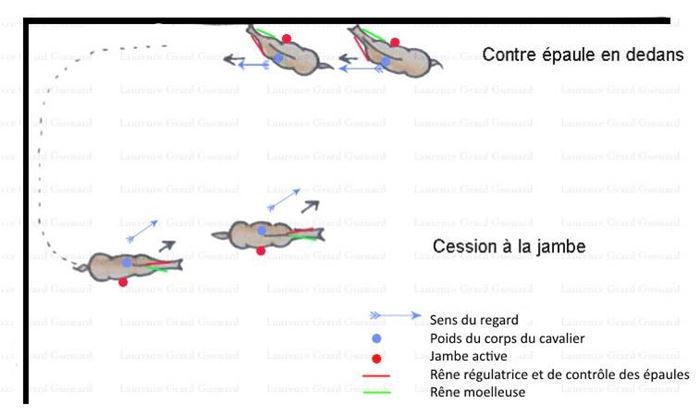 LA CONTRE EPAULE EN DEDANS